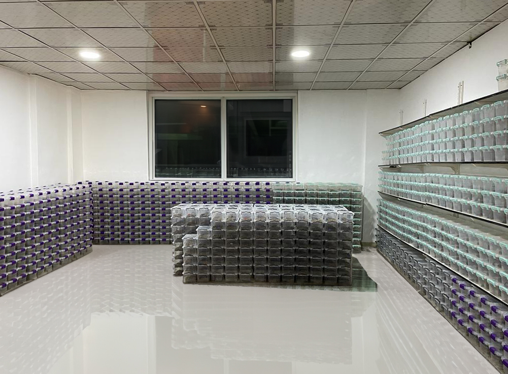 Product Specifications – ZAD GROUP | Scorpion Venom Manufacturers